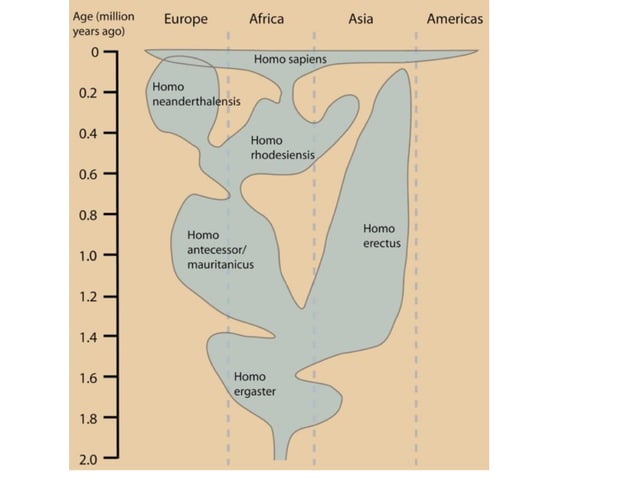 00 Anatomy Framework | PPT