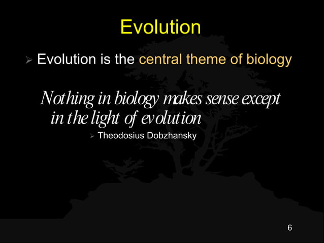 00 Anatomy Framework | PPT | Biological Sciences | Science