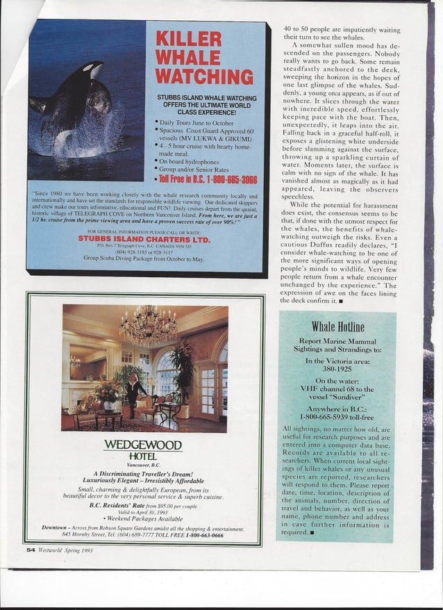 Into the Mystic | PDF