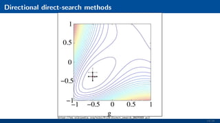 Derivative free optimization | PDF
