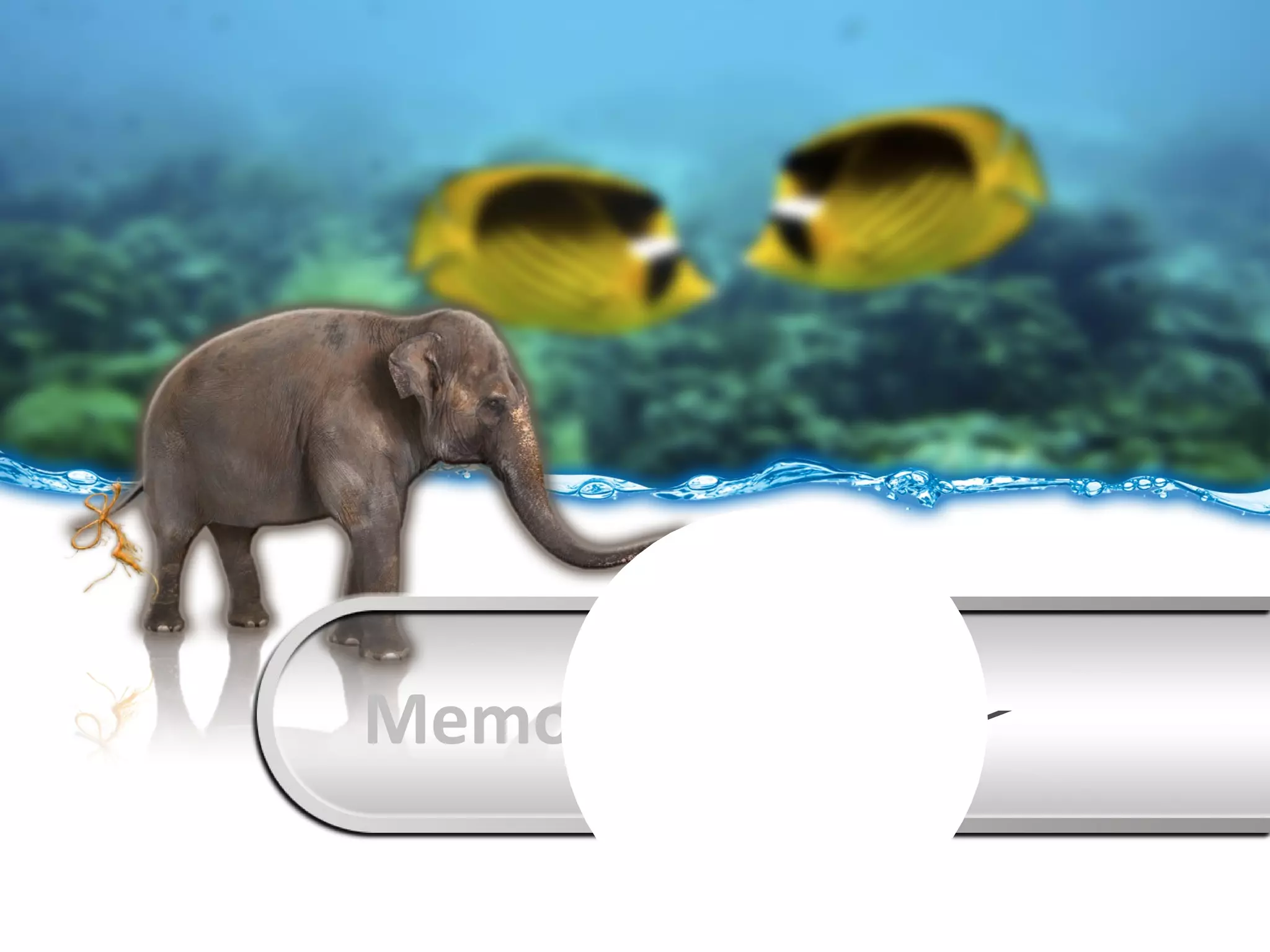 Cognition memory thinking_language | PPT | Data Storage and Warehousing | Computing