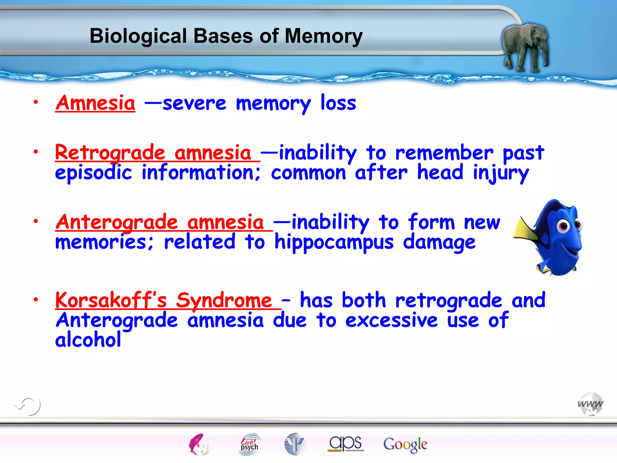 Cognition memory thinking_language | PPT | Data Storage and Warehousing | Computing