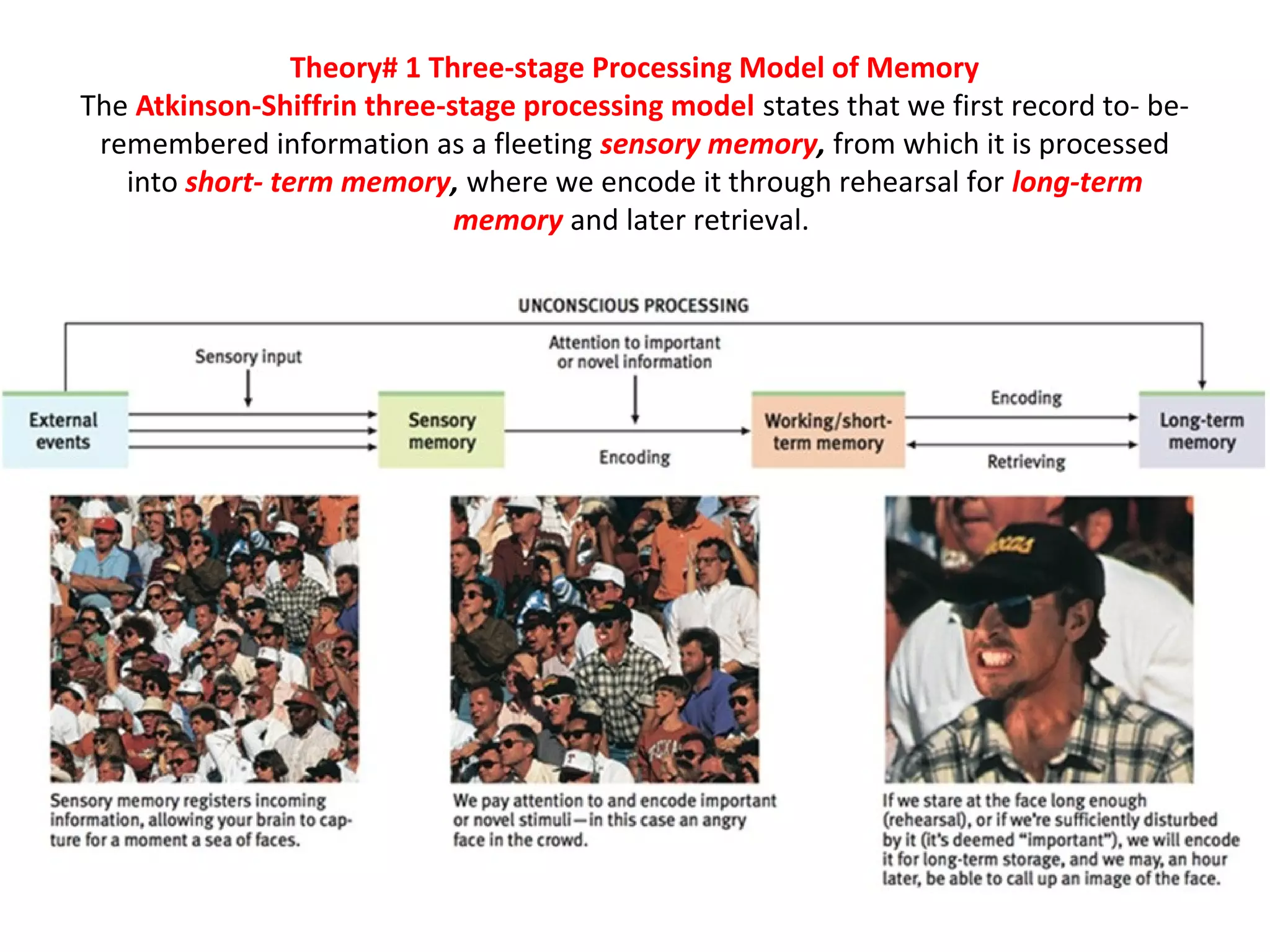 Cognition memory thinking_language | PPT
