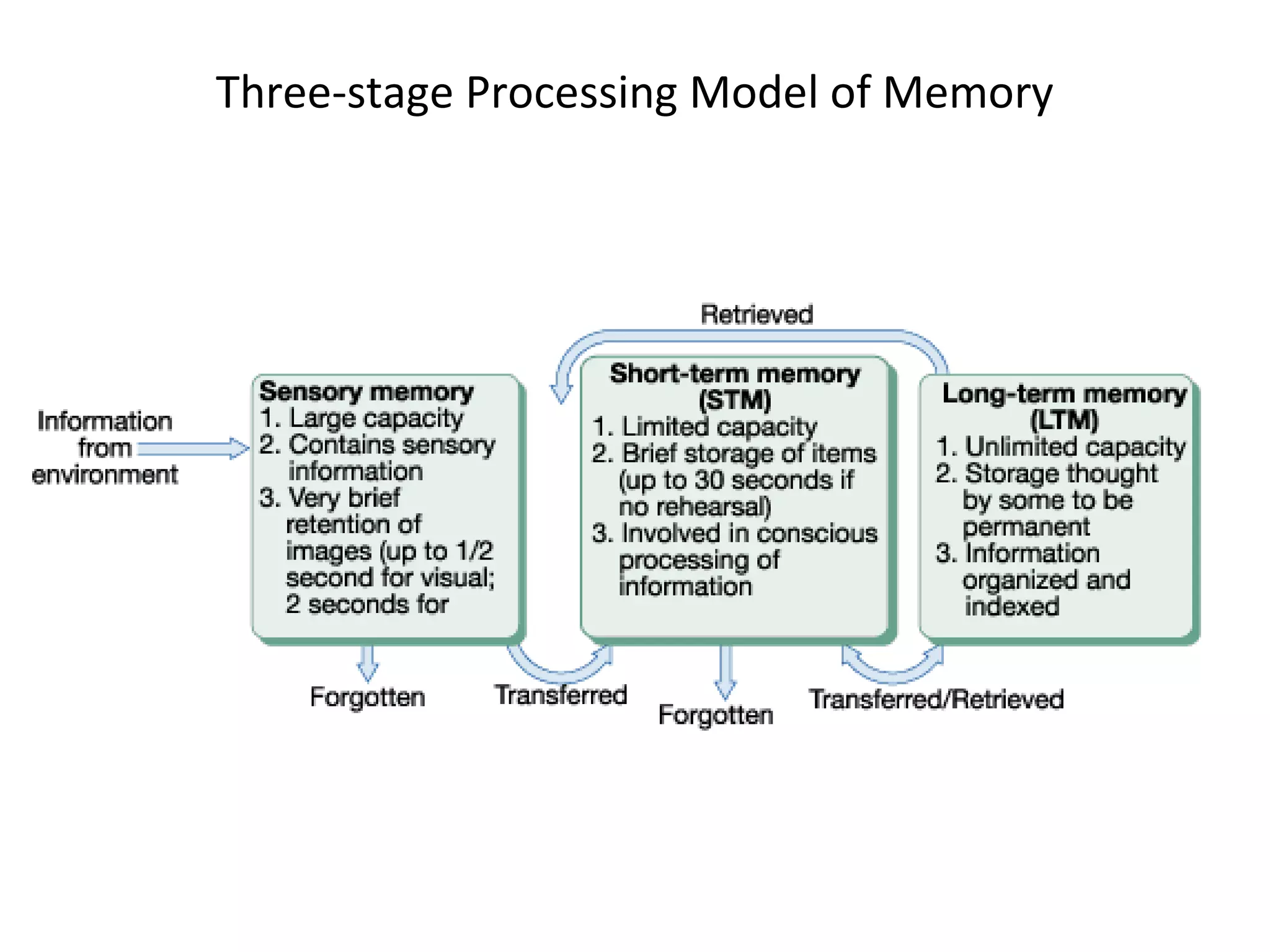 Cognition memory thinking_language | PPT | Data Storage and Warehousing | Computing