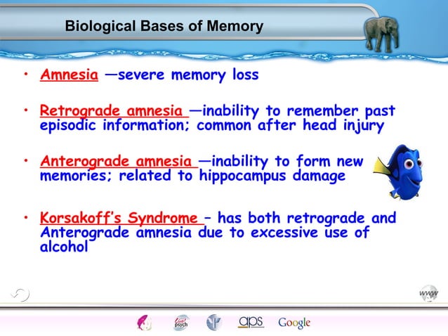 Cognition memory thinking_language | PPT | Data Storage and Warehousing | Computing