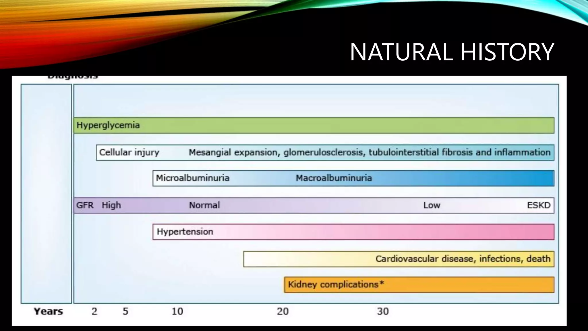 00 Diabetic nephropathy-1.pptx