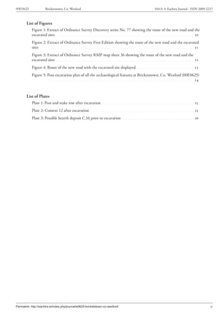 Archaeological Excavation Report E0625 - Bricketstown, Co. Wexford ...