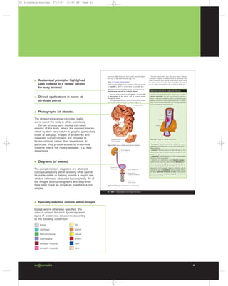 General Anatomy - sample | PDF