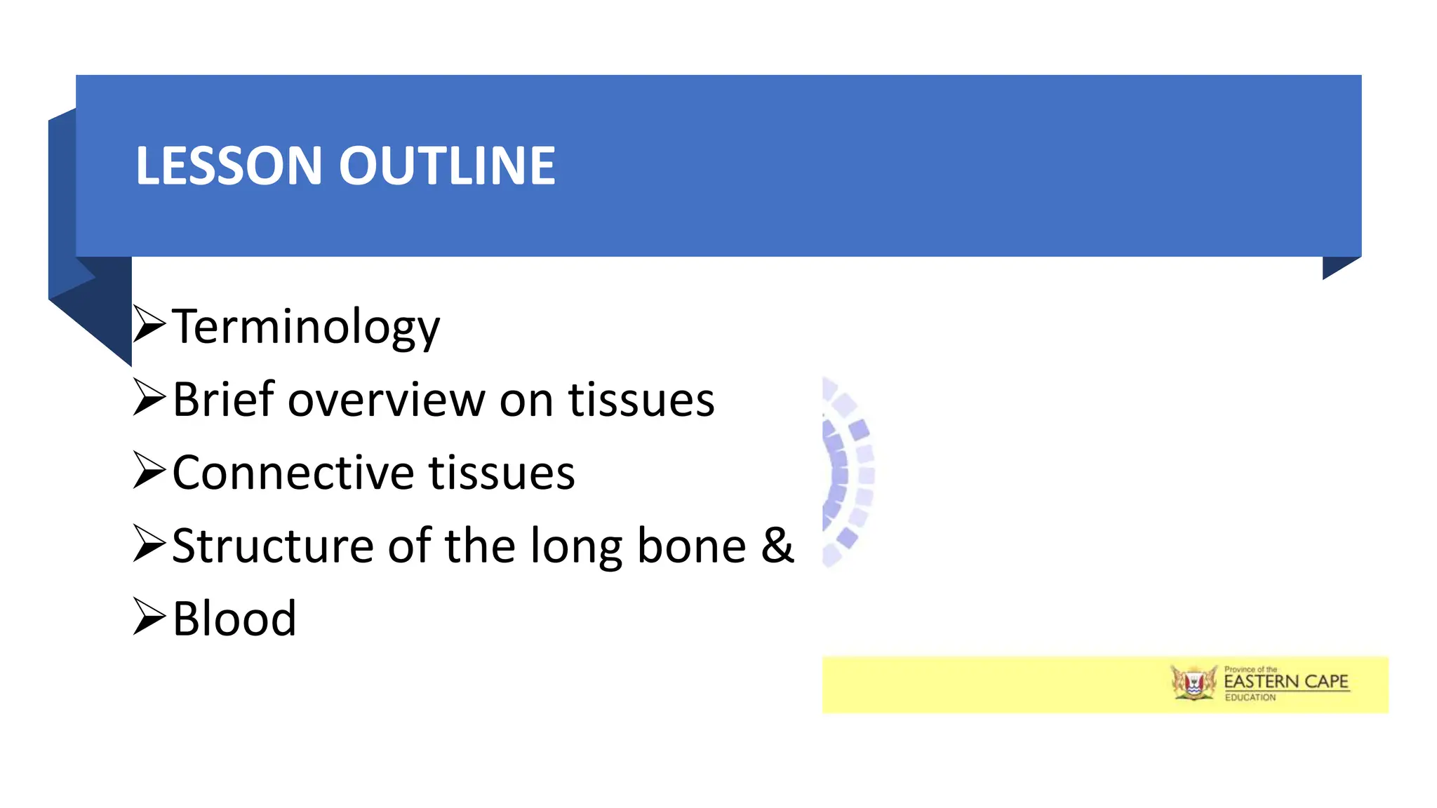 00 Life Sciences Grade 10 PPT Connective Tissues.pptx