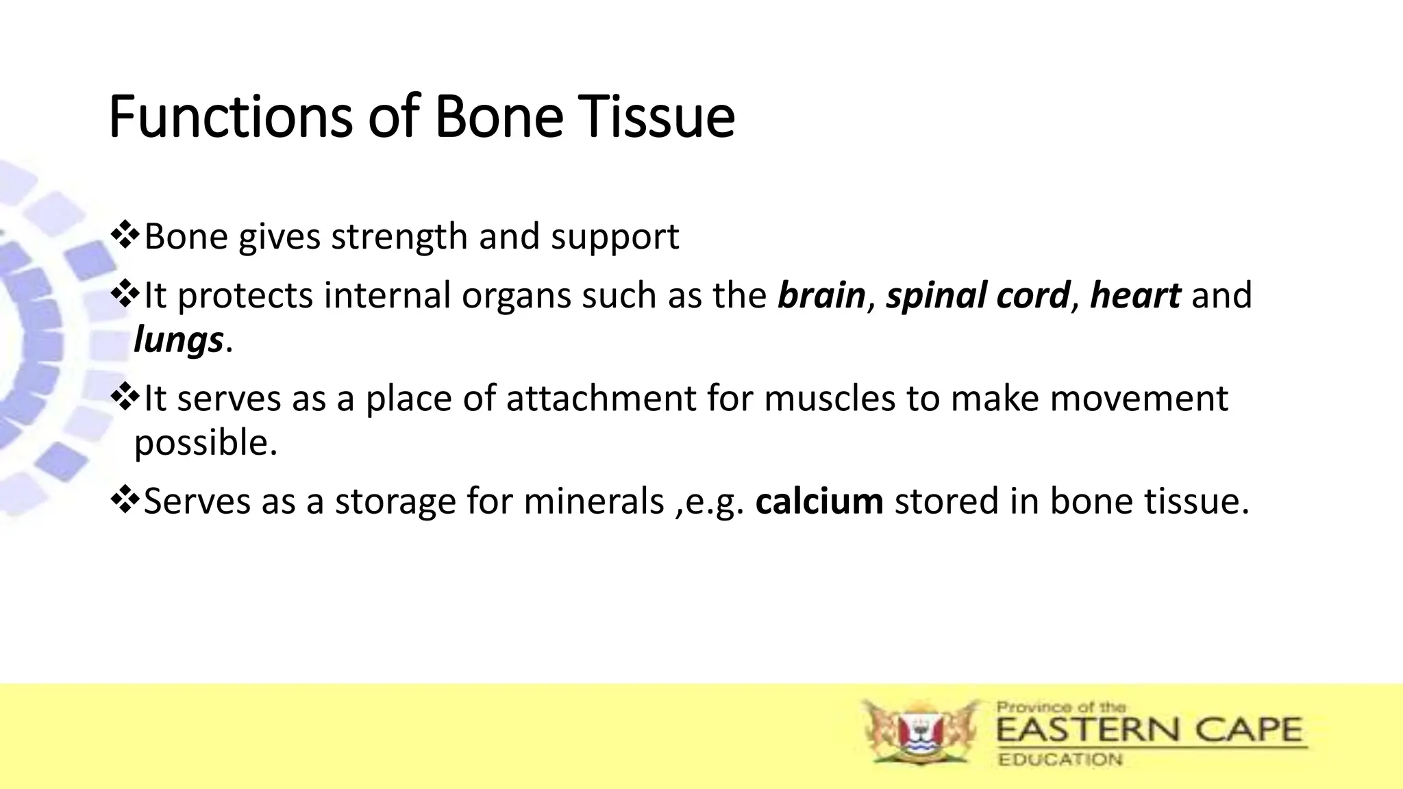 00 Life Sciences Grade 10 PPT Connective Tissues.pptx