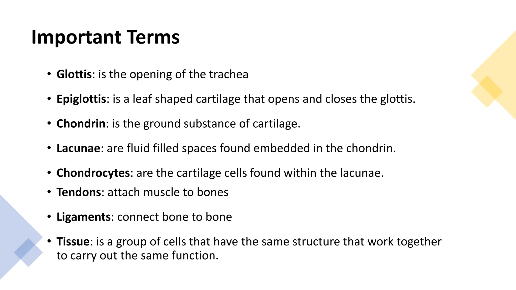 00 Life Sciences Grade 10 PPT Connective Tissues.pptx