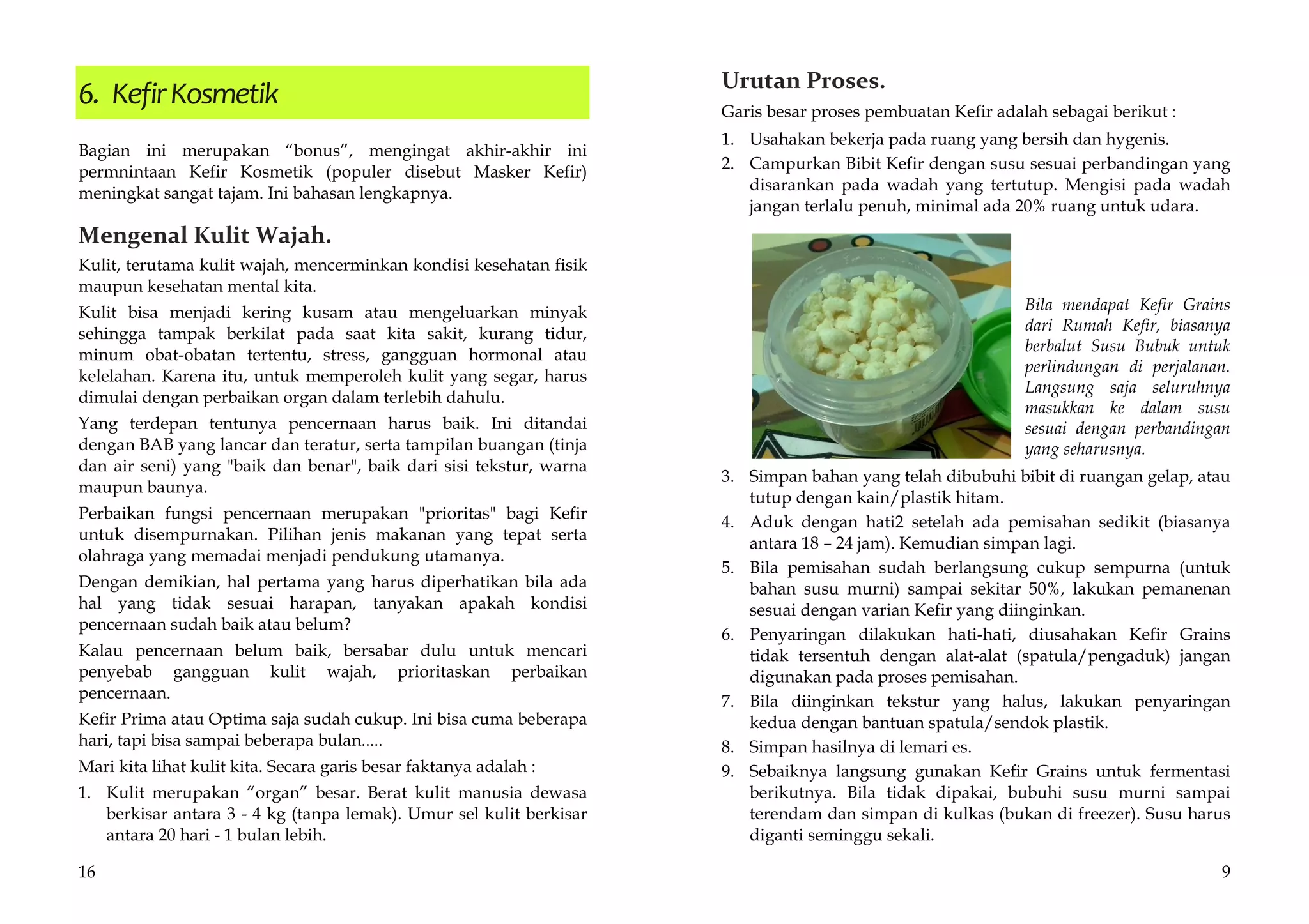 Pedoman Pembuatan dan Pemanfaatan Kefir | PDF