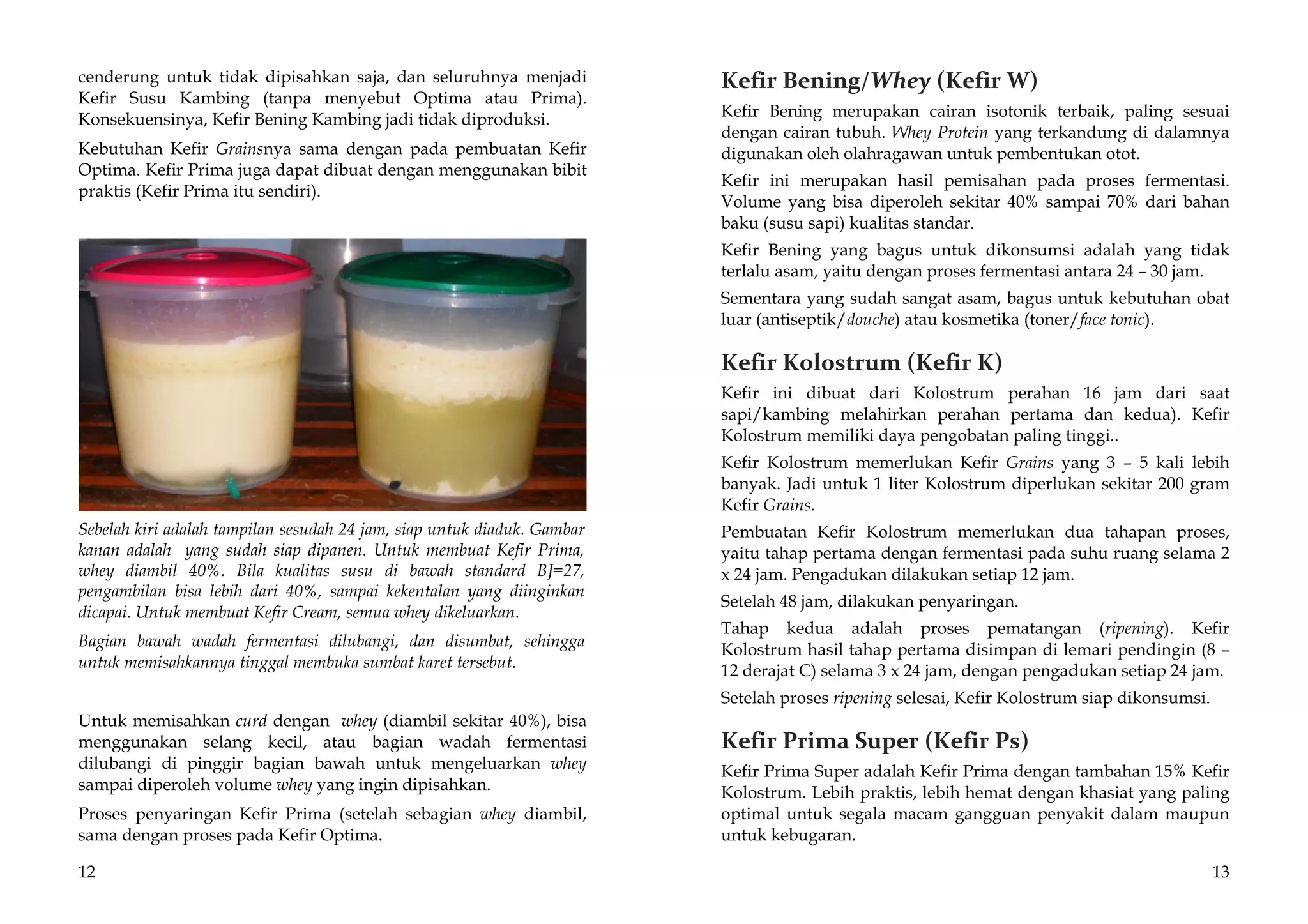 Pedoman Pembuatan dan Pemanfaatan Kefir | PDF