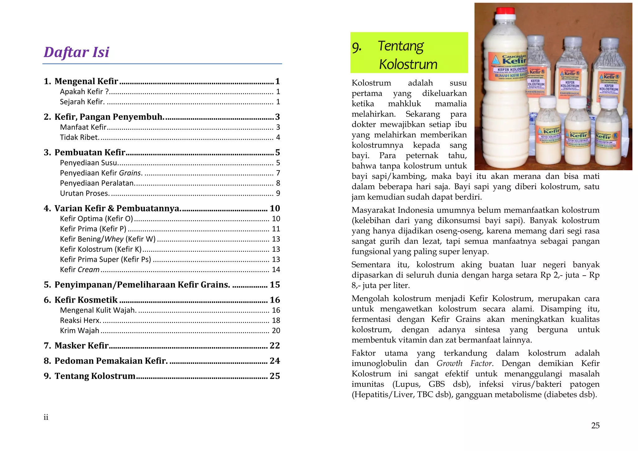 Pedoman Pembuatan dan Pemanfaatan Kefir | PDF