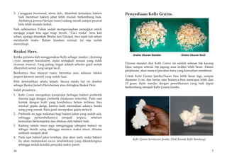 Pedoman Pembuatan dan Pemanfaatan Kefir | PDF