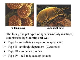 00 micro hypersensitivity.pdf