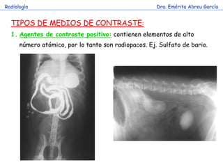 00 RadiologÍa comparada | PDF