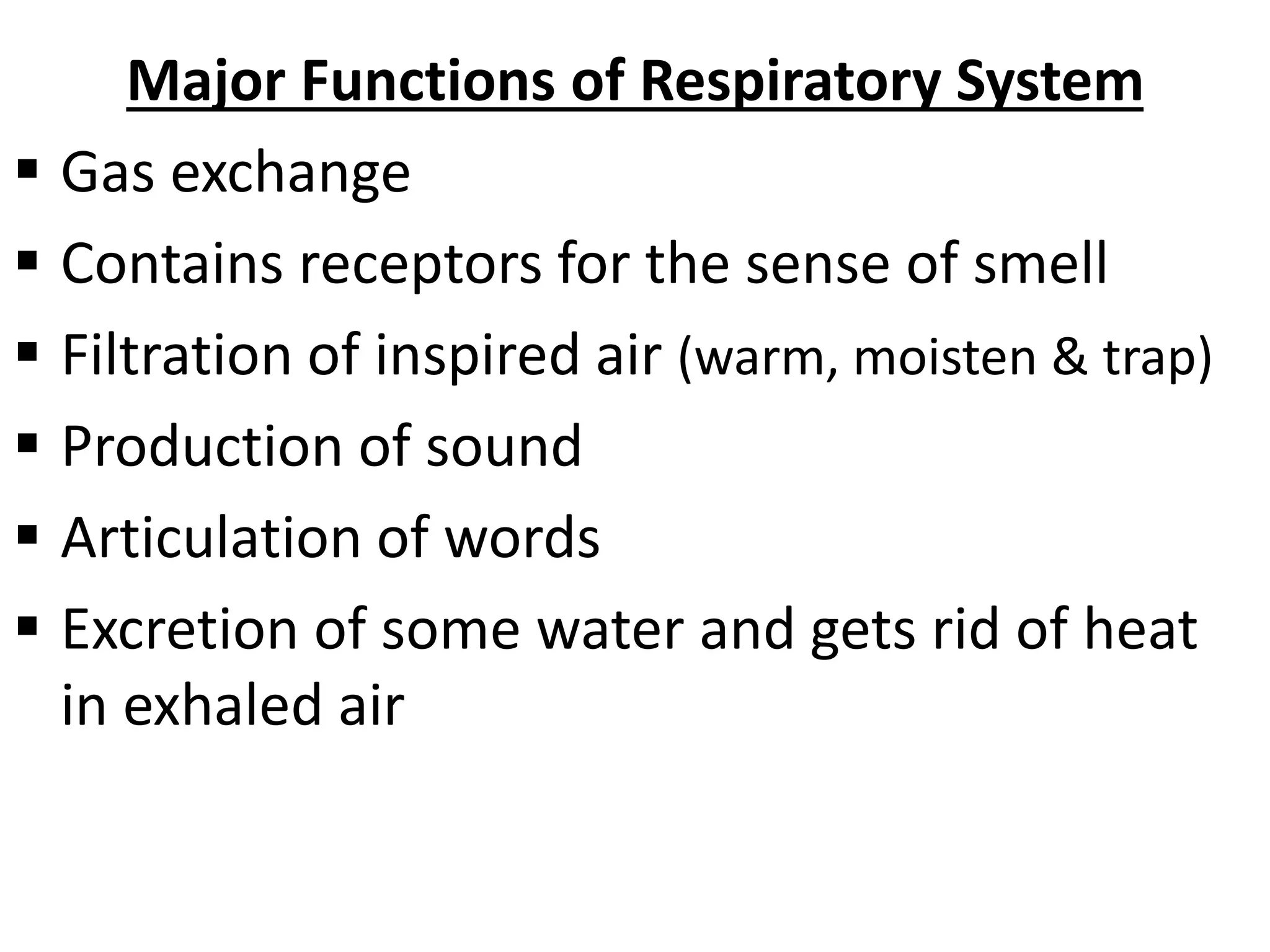 00 Respiratory NOTE.pptx