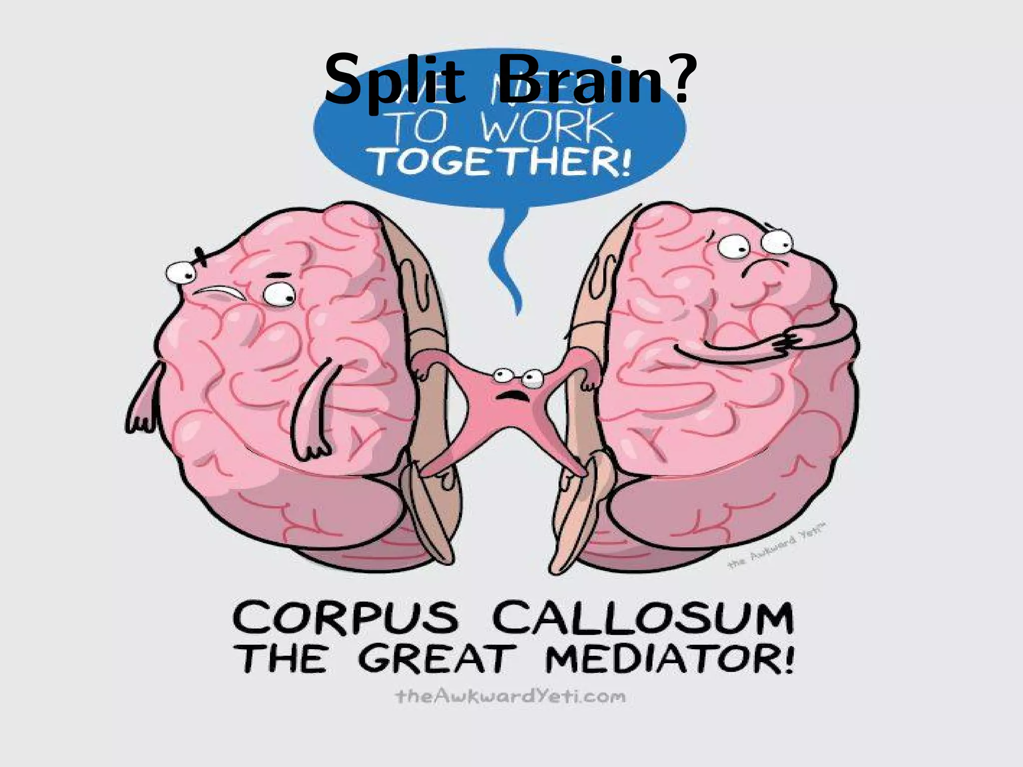 Dock'em: Distributed Systems Testing with NetEm and Docker | PPT