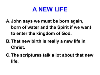 a new life in christ | PPTX
