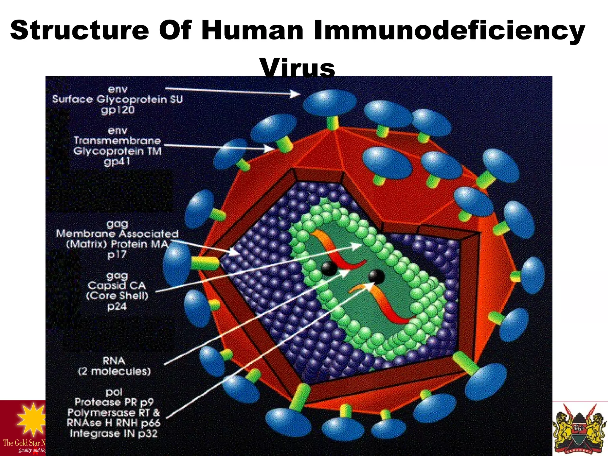 01.02 biology of hiv | PPT