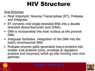 01.02 biology of hiv | PPT