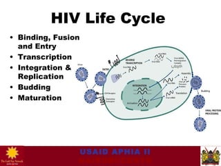 01.02 biology of hiv | PPT