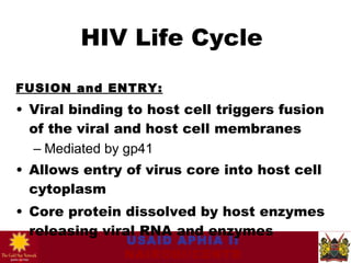 01.02 biology of hiv | PPT