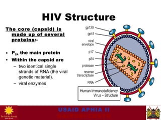 Hiv Virus Structure