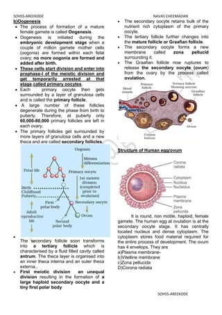 01-02 human reproduction and reproductive health.pdf | Pregnancy | Reproductive Health