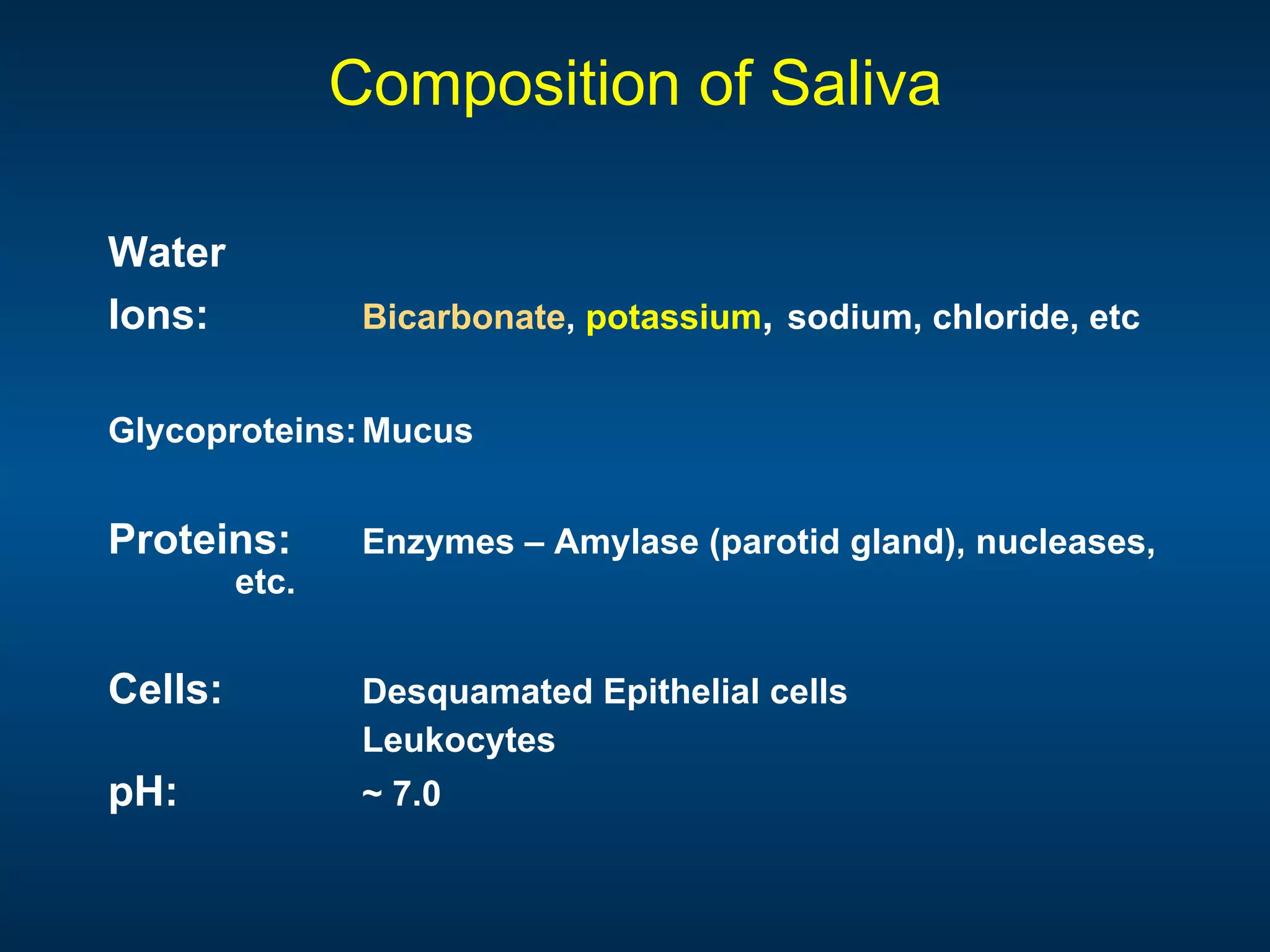 01.05.09: Histology - Oral Cavity and Salivary Glands | PDF