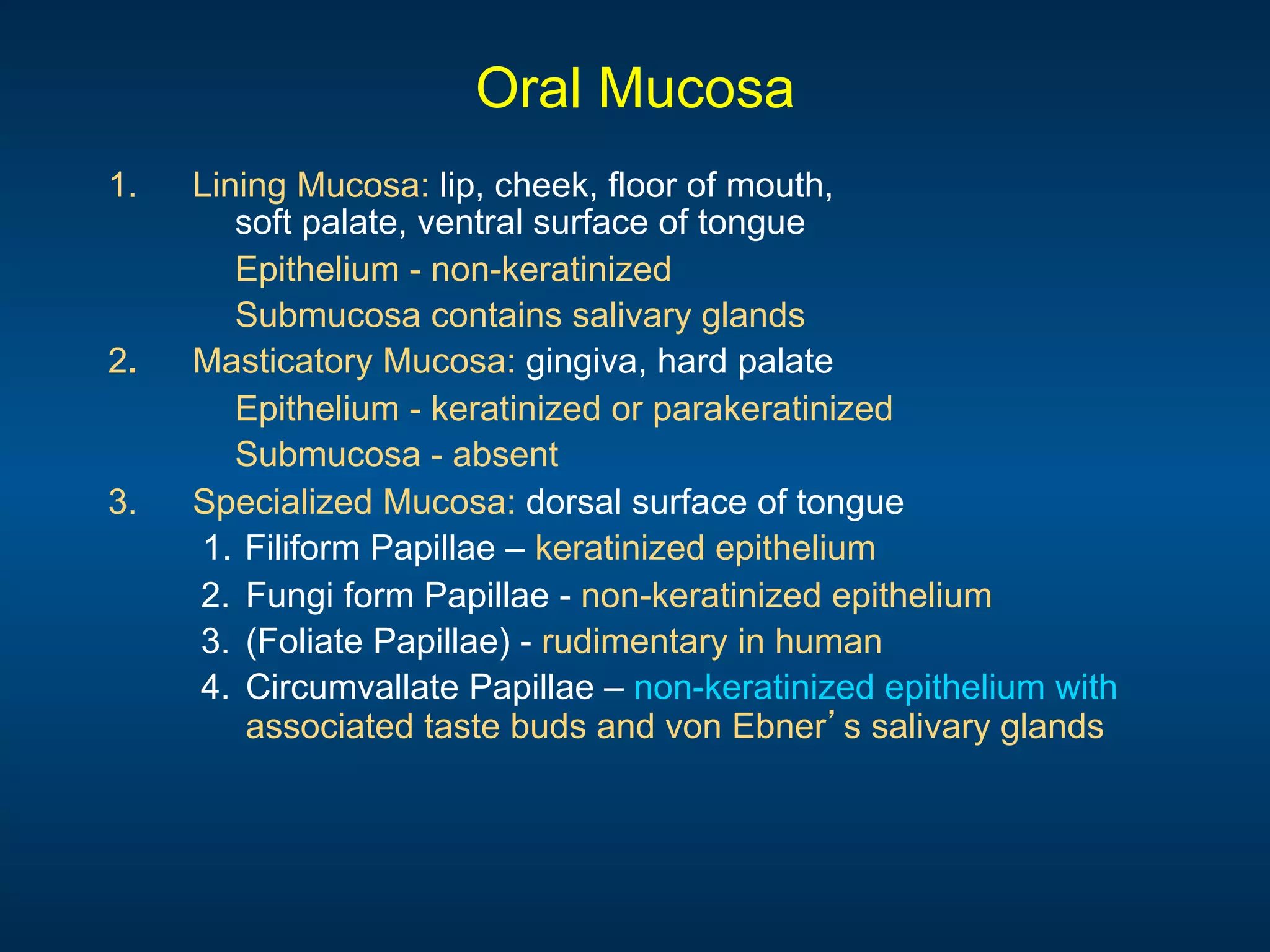 01.05.09: Histology - Oral Cavity and Salivary Glands | PDF