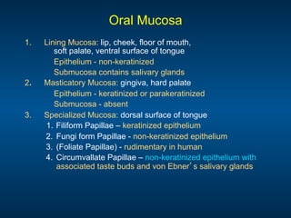 01.05.09: Histology - Oral Cavity and Salivary Glands | PDF