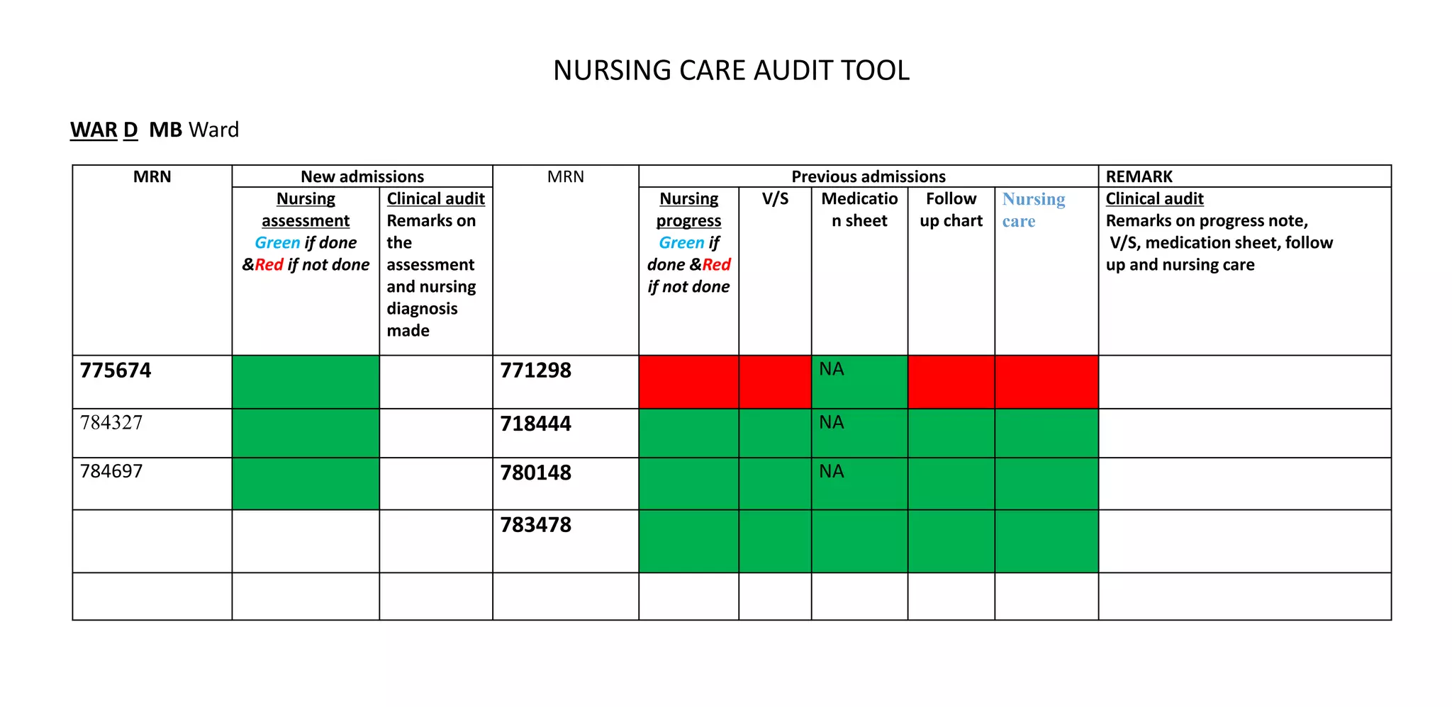 01-11--13 Nursing AuditGLB (2).pptx