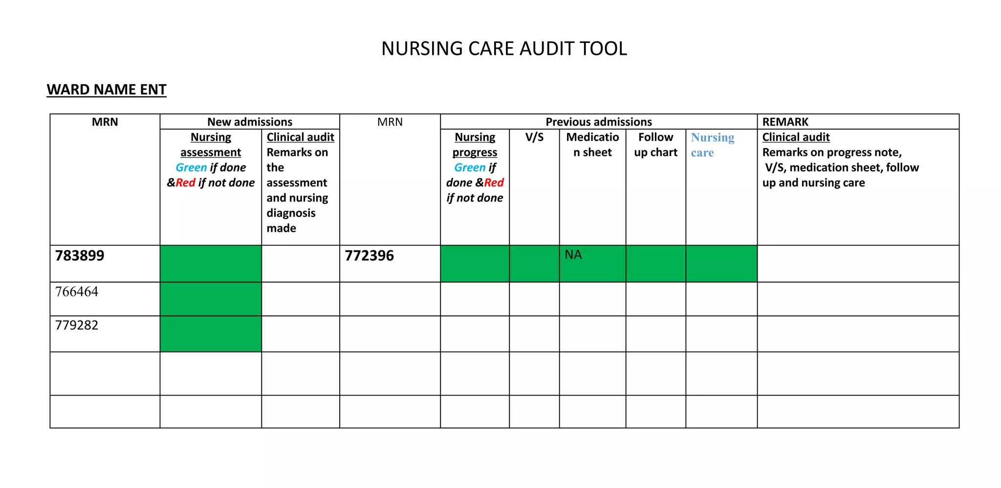01-11--13 Nursing AuditGLB (2).pptx