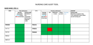 01-11--13 Nursing AuditGLB (2).pptx