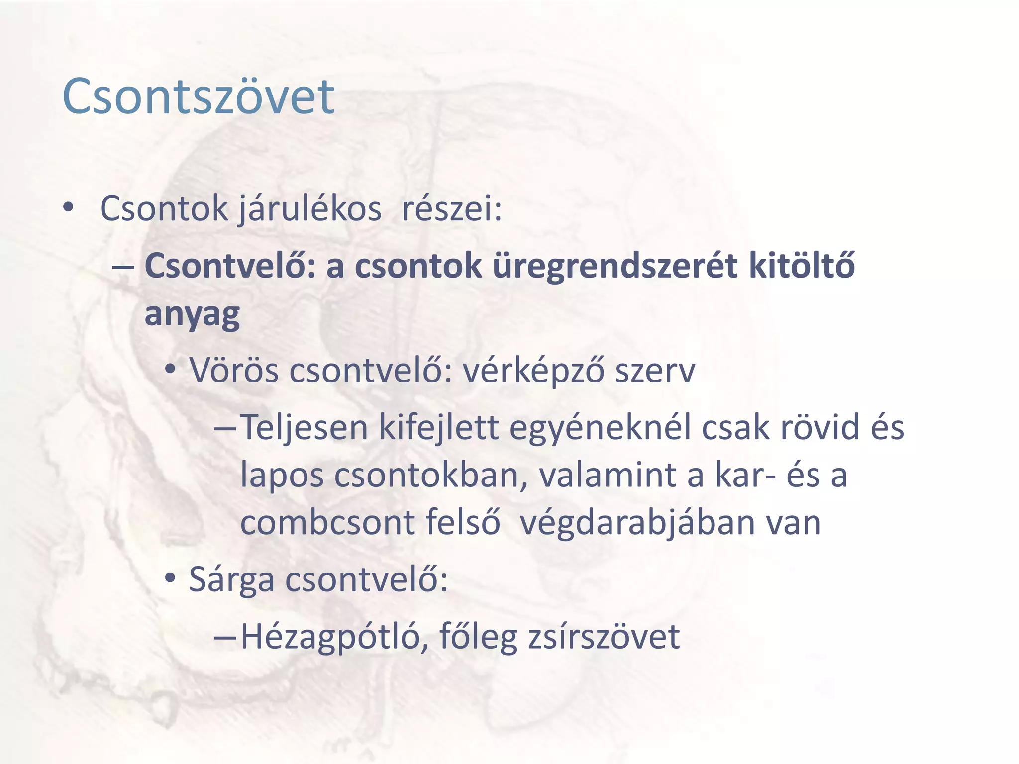 01 - Funkcionális Anatómia (OLKD, I. évf.): Bevezetés | PPTX