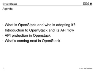 CIS13: OpenStack API Security | PPT