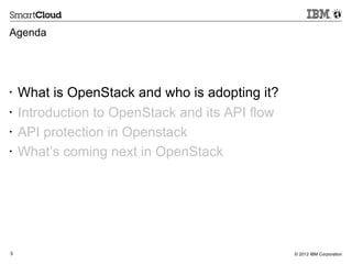 CIS13: OpenStack API Security | PPT