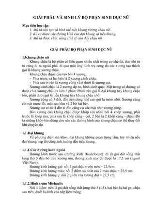 Giải phẩu sinh lý và bộ phận sinh dục nữ | DOC