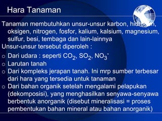 01. ilmu tanah | PPTX