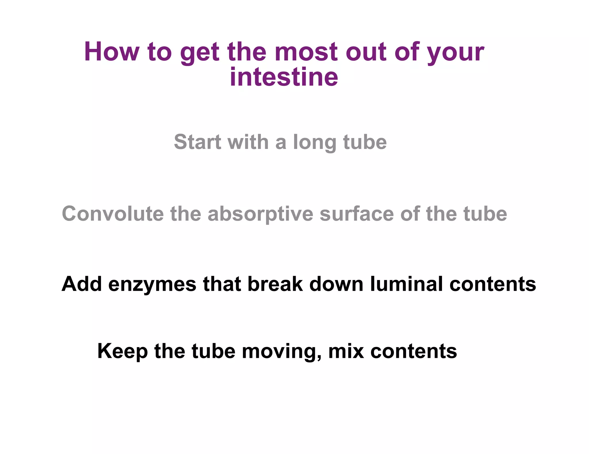 01.05.09: GI Intro | PDF