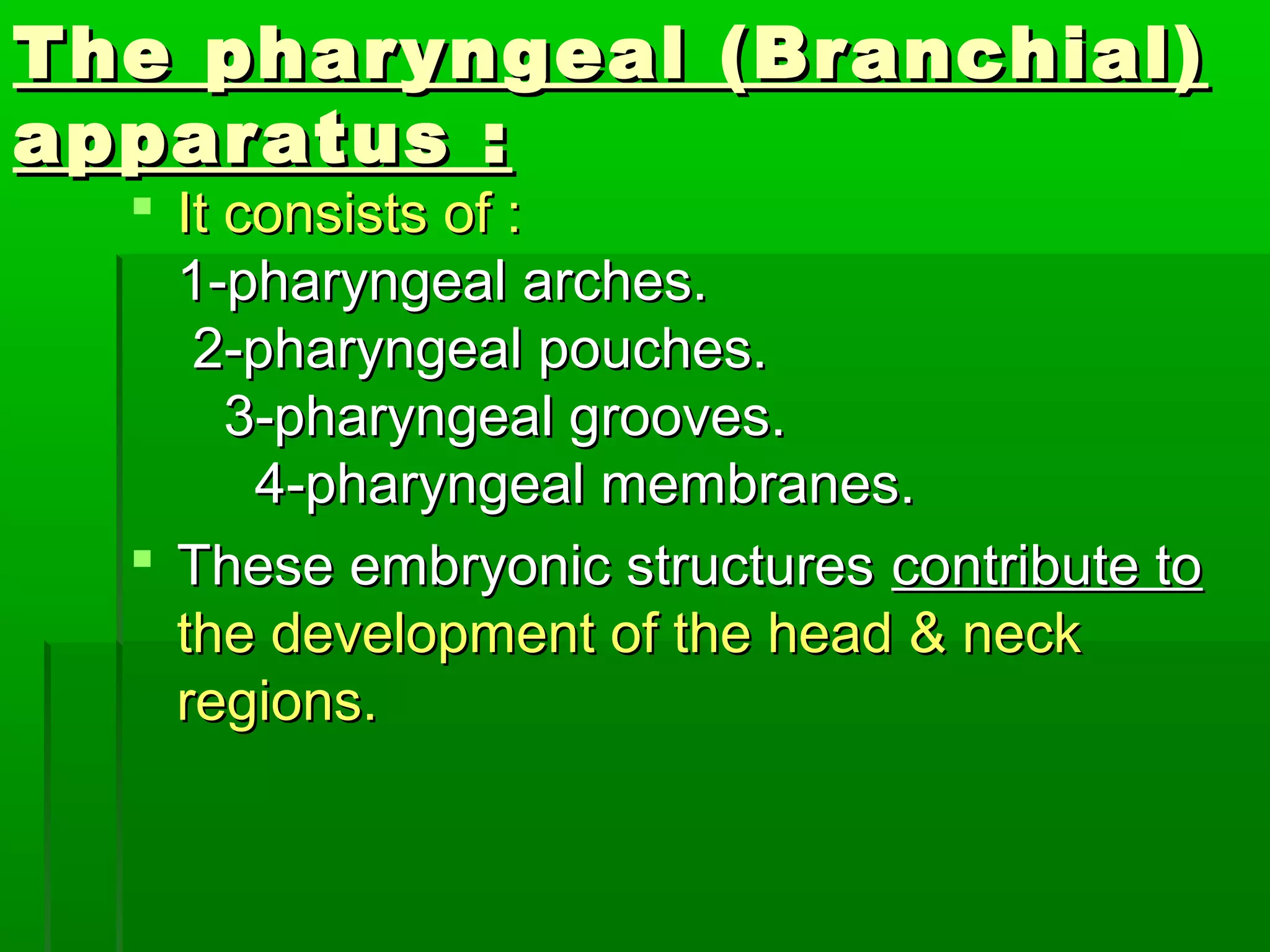 01. pharyngeal arches (3 lectures, march 18) | PPT