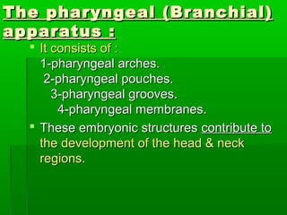 01. pharyngeal arches (3 lectures, march 18) | PPT