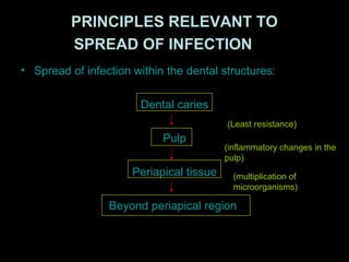 introduction to space infections (ram) | PPT