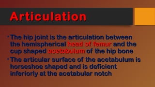 01. hip anatomy | PPT