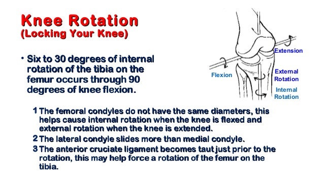 Knee Internal And External Rotation