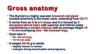 01. thyroid anatomy | PPT