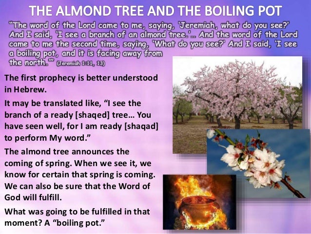 01. the prophetic calling of jeremiah