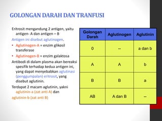 Sistem Sirkulasi | PPTX